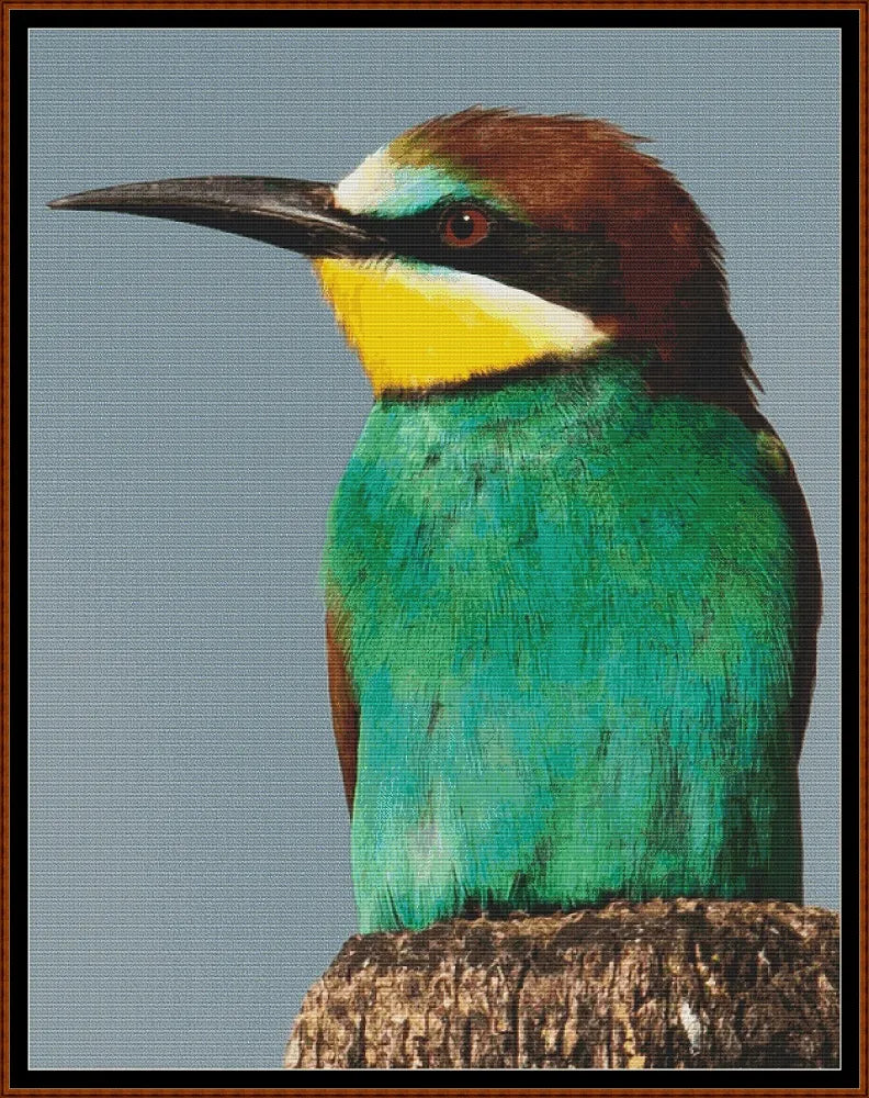 European Birds - Bee Eater – Crafty Patterns