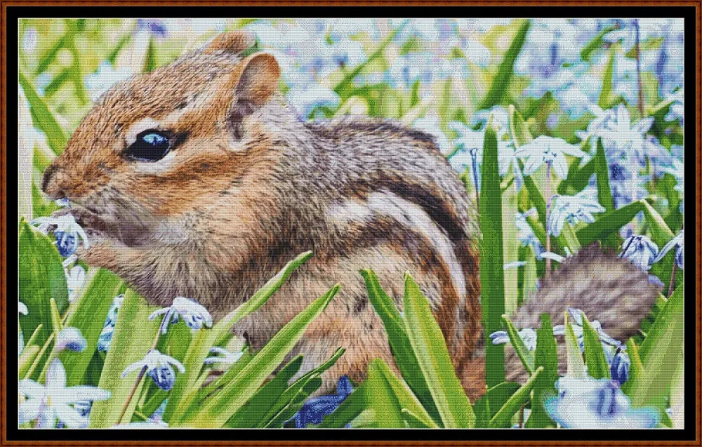 Chipmunk – Crafty Patterns